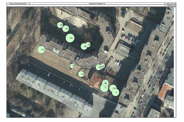 Amtage: Baumkataster und Baumkontrolle